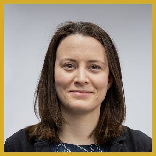 About - SOFE 2023 - 30th IEEE Symposium on Fusion Engineering